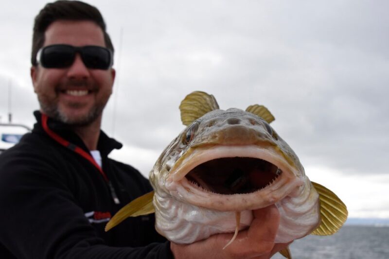 Reykjavik: 3-Hour Sea Angling Gourmet Experience Tour - Who Will Love This Tour?