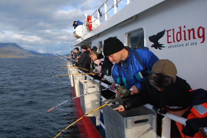 Reykjavik: 3-Hour Sea Angling Gourmet Experience Tour - The Sum Up