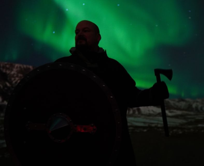 Reykjavik: Aurora Minibus w/ Pro Photos & Free Retry - Key Points