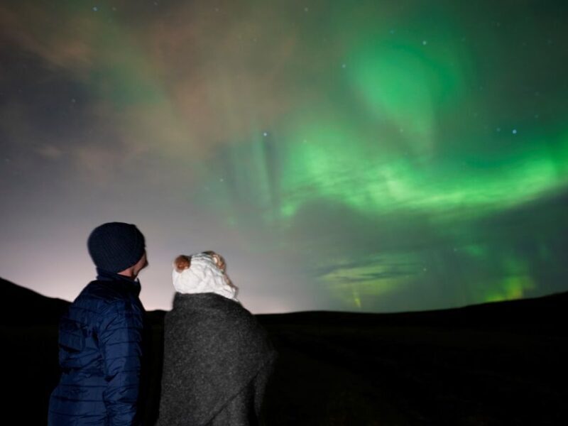 Reykjavik: Aurora Minibus w/ Pro Photos & Free Retry - What Makes This Tour Stand Out?