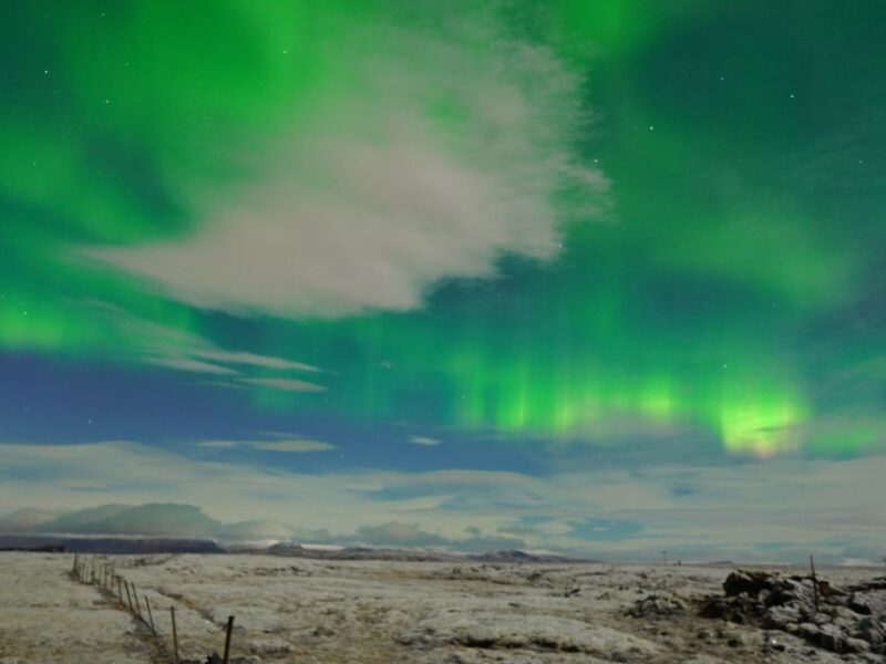 Reykjavik: Aurora Minibus w/ Pro Photos & Free Retry - FAQ