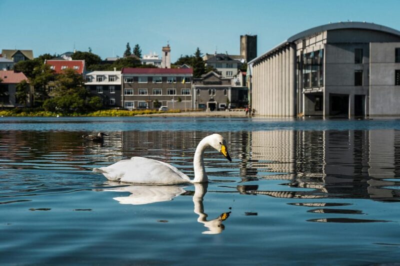 Reykjavík & Blue Lagoon Private Tour - What’s Included and What’s Not