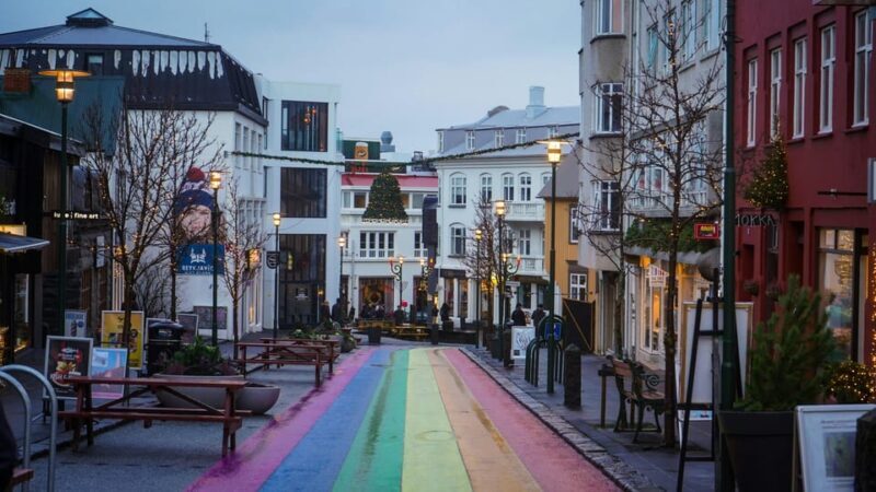 Reykjavík & Blue Lagoon Private Tour - The Value Proposition
