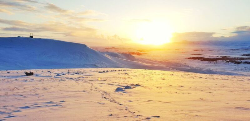 Reykjavik: Buggy Safari Tour with Hotel Transfers - Key Points