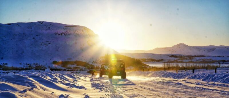 Reykjavik: Buggy Safari Tour with Hotel Transfers - Who Should Consider This Tour?