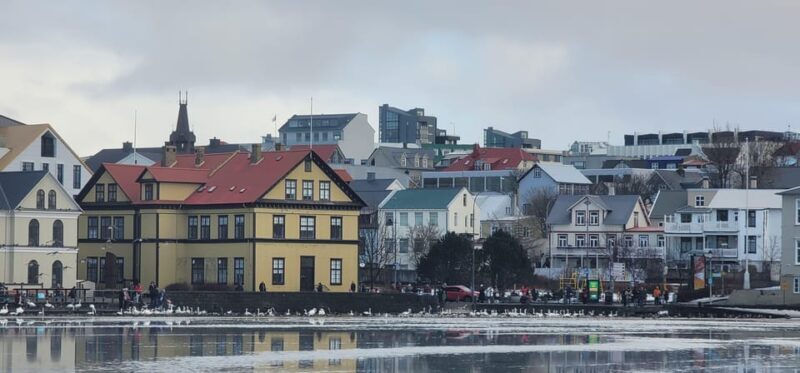 Reykjavik City private tour: Hallgrímskirkja, Perlan & More! - Key Points