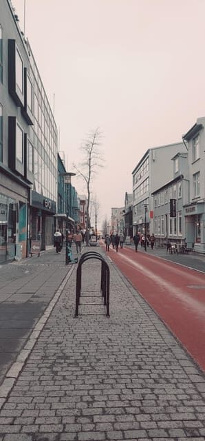Reykjavik City private tour: Hallgrímskirkja, Perlan & More! - Practical Tips and Considerations