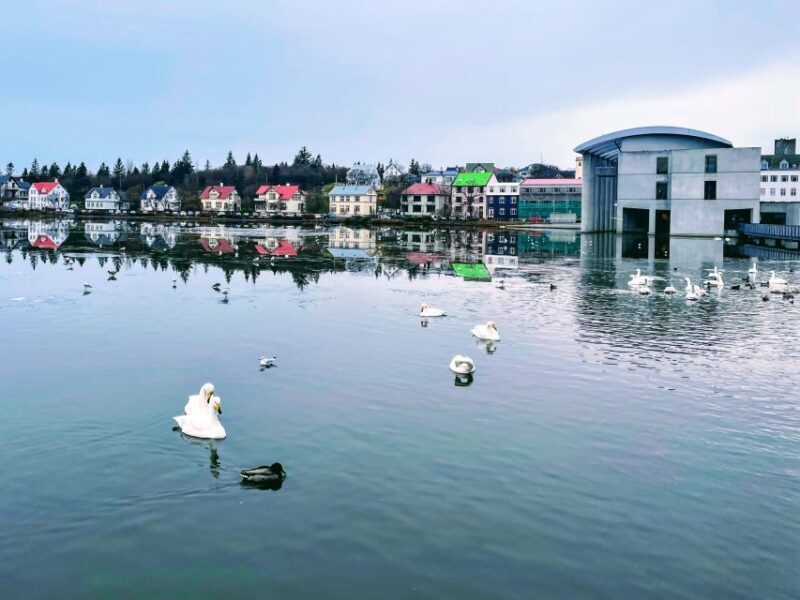 Reykjavik: City Walking tour in Small Group with Local Guide - Who Should Consider This Tour?