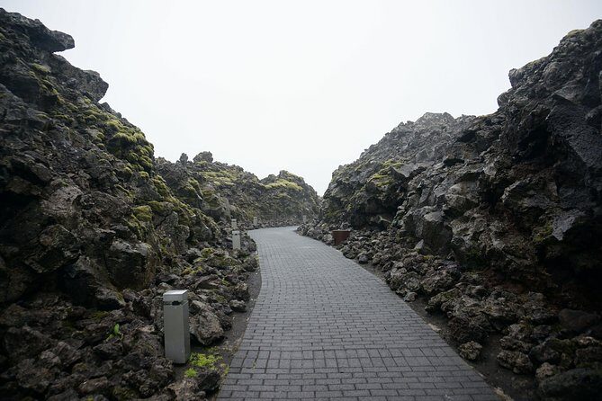 Reykjavik Excursion & Blue Lagoon. Private Day Tour - Final Thoughts