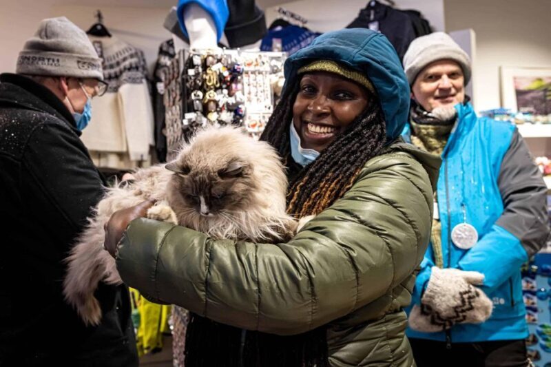 Reykjavik: Feline-Focused City Walking Tour - Why This Tour Stands Out
