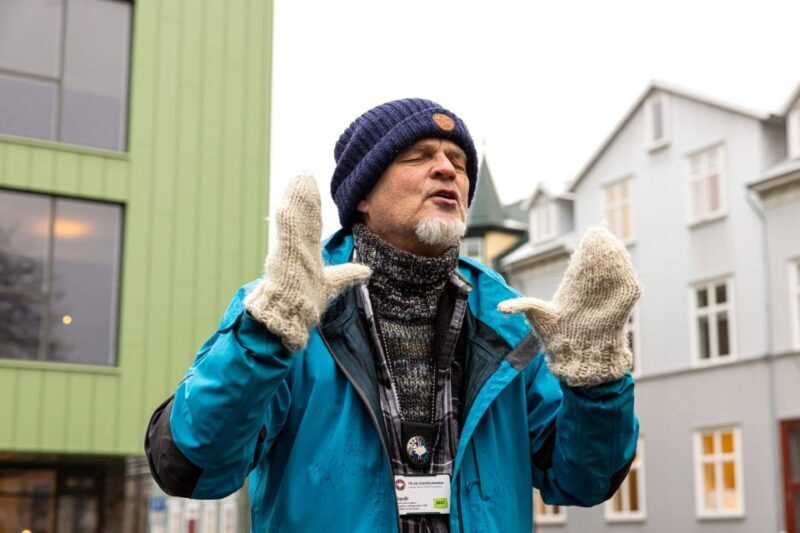 Reykjavik: Feline-Focused City Walking Tour - Practical Considerations