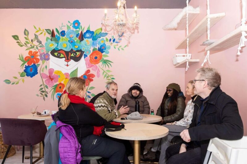 Reykjavik: Feline-Focused City Walking Tour - Authentic Experiences and What You’ll Remember
