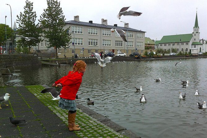 Reykjavik Food Tour and City Walk - PRIVATE TOUR - The Sum Up