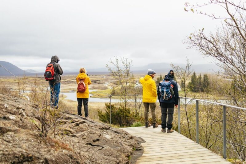 Reykjavik: Golden Circle, Crater & Blue Lagoon Minibus Tour - What Travelers Think: Authentic Experiences from Reviews