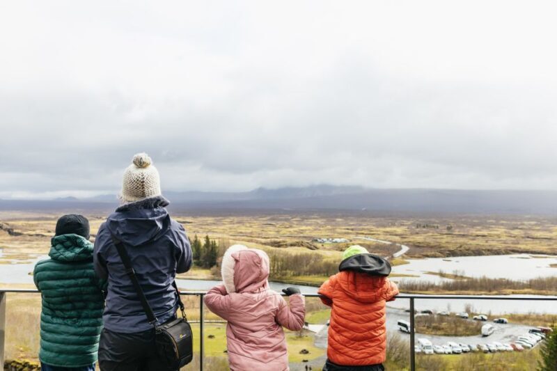 Reykjavik: Golden Circle, Crater & Blue Lagoon Minibus Tour - The Sum Up