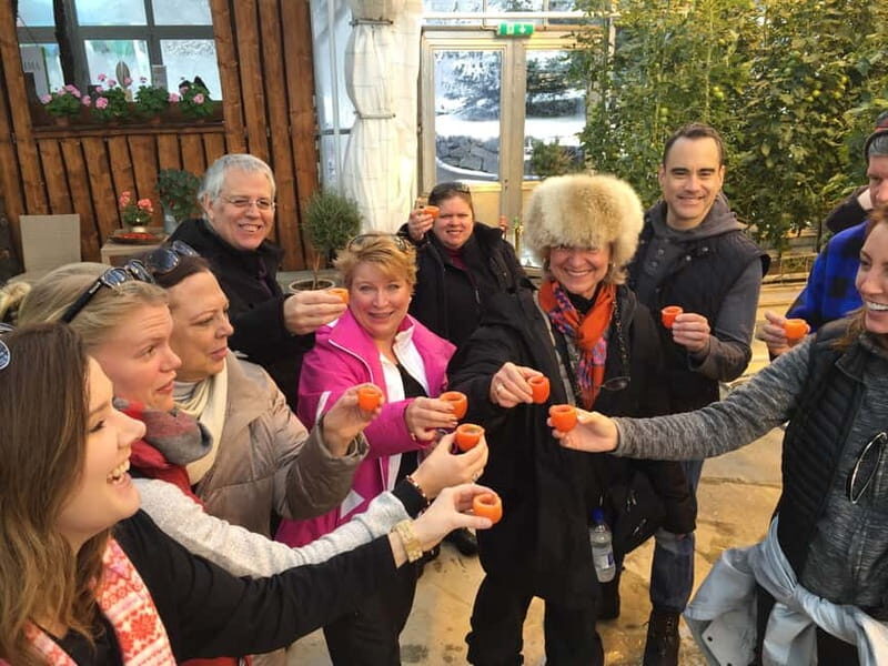 Reykjavik: Golden Circle, Fridheimar, & Sky Lagoon Day Trip - Authentic Experiences That Stand Out