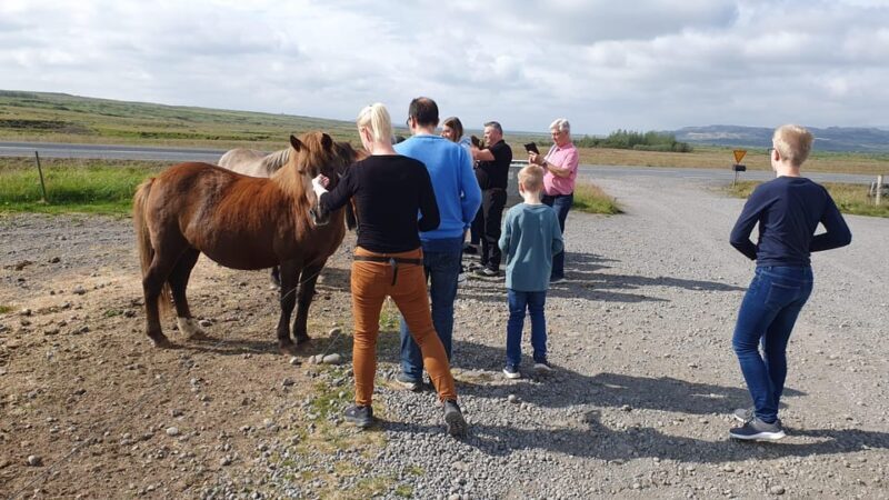 Reykjavik: Golden Circle - shore excursion in small group - Pricing and Value
