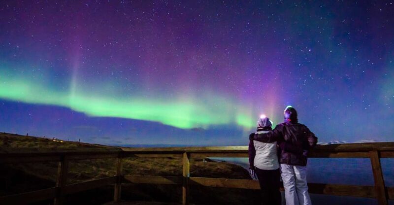 Reykjavík: Group Northern Lights Tour with Pics & Hot Cocoa - Key Points