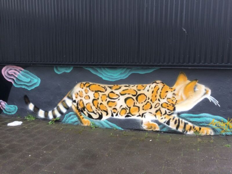 Reykjavik: Guided City Walking Tour - Who Is This Tour Best For?