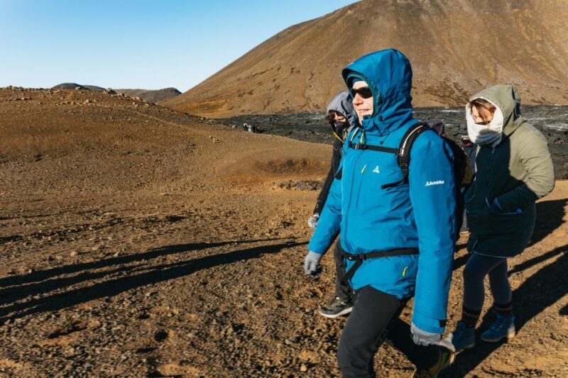 Reykjavik: Guided Tour to Volcano and Reykjanes Geopark - Who Is This Tour Best For?