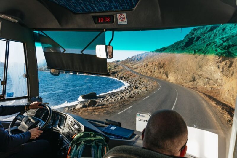 Reykjavik: Guided Tour to Volcano and Reykjanes Geopark - Final Thoughts