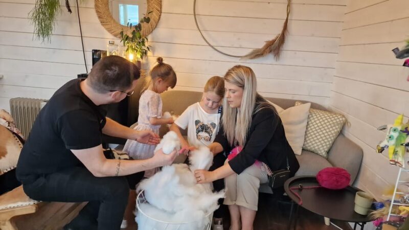 Reykjavik: Make an Icelandic Wool Monster - FAQ