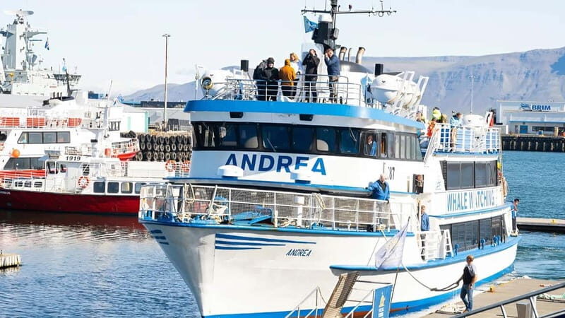 Reykjavik: Maritime History Walking Tour - Practical Details and Value