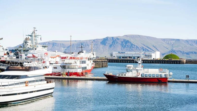 Reykjavik: Maritime History Walking Tour - Who Should Consider This Tour?