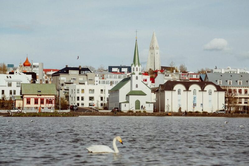 Reykjavik: Meet and Greet with a Local Guide - Key Points
