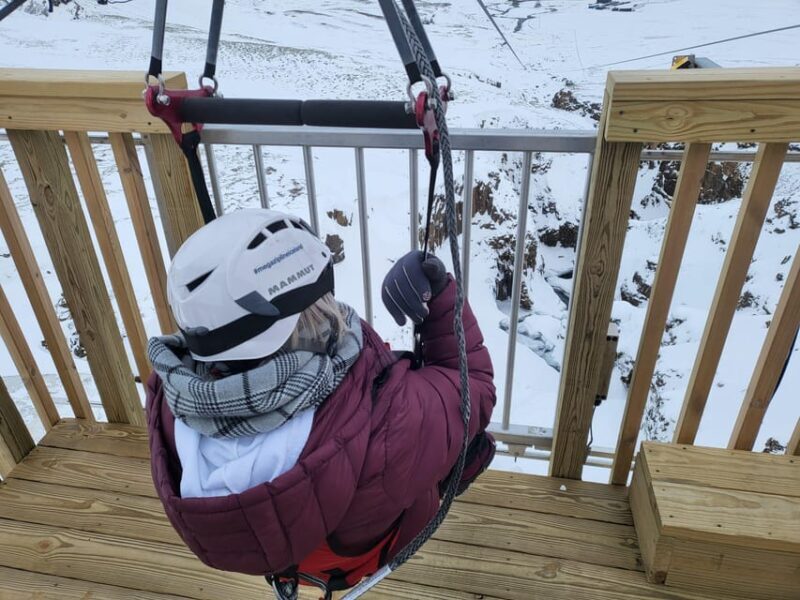 Reykjavik: Mega Zipline Adventure - Who Should Consider This Tour?