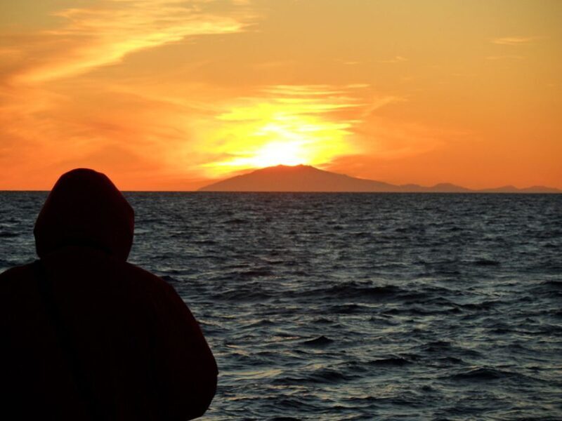 Reykjavik: Midnight Sun Whale Watching Tour - What Is the Reykjavik: Midnight Sun Whale Watching Tour?