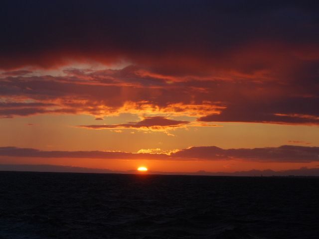 Reykjavik: Midnight Sun Whale Watching Tour - FAQ