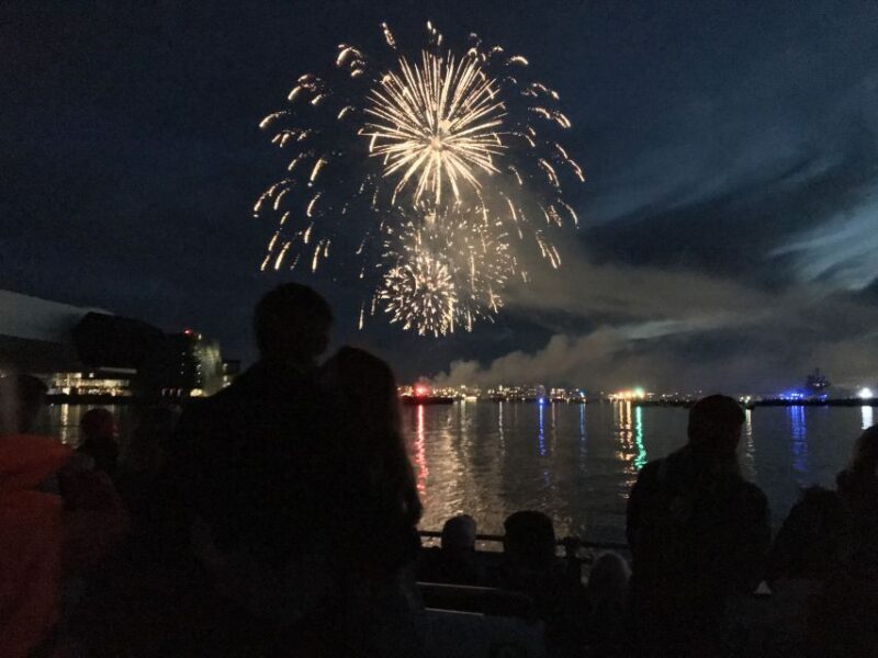 Reykjavik: New Year's Eve Fireworks Cruise - Key Points