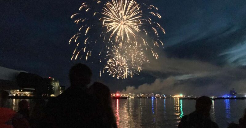 Reykjavik: New Year's Eve Fireworks Cruise - Setting the Scene: An Unforgettable Way to Celebrate NYE