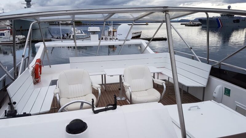 Reykjavík: New Year's Eve Northern Lights Yacht Cruise - The Sum Up: Is This Cruise for You?