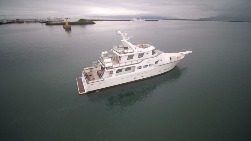 Reykjavik: New Years Fireworks Midnight Cruise - Who Should Consider This Experience?