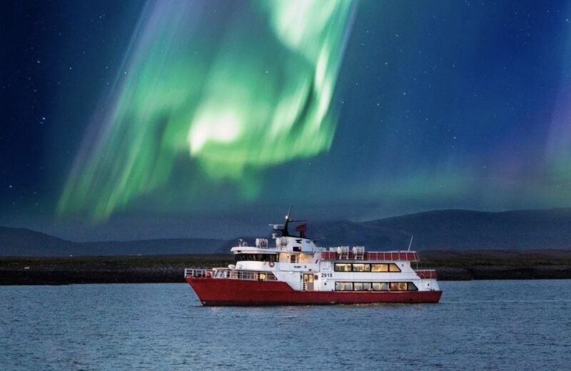 Reykjavík: Northern Lights Cruise - Pros and Cons: The Reality of the Experience