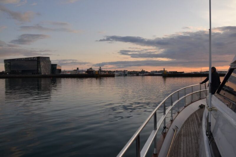 Reykjavik: Northern Lights Motor Yacht Cruise - What to Expect on the Northern Lights Yacht Cruise