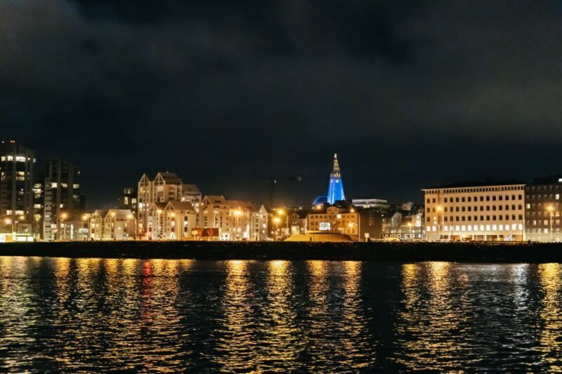 Reykjavik: Northern Lights Yacht Tour - Final Thoughts