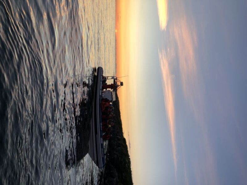 Reykjavik: Premium Whale and Puffin Watching Evening Tour - FAQ
