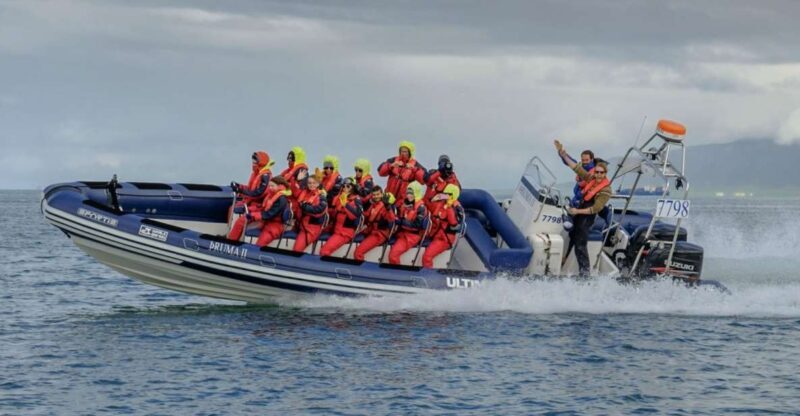 Reykjavik: Premium Whale Watching with Flexible Ticket - Key Points