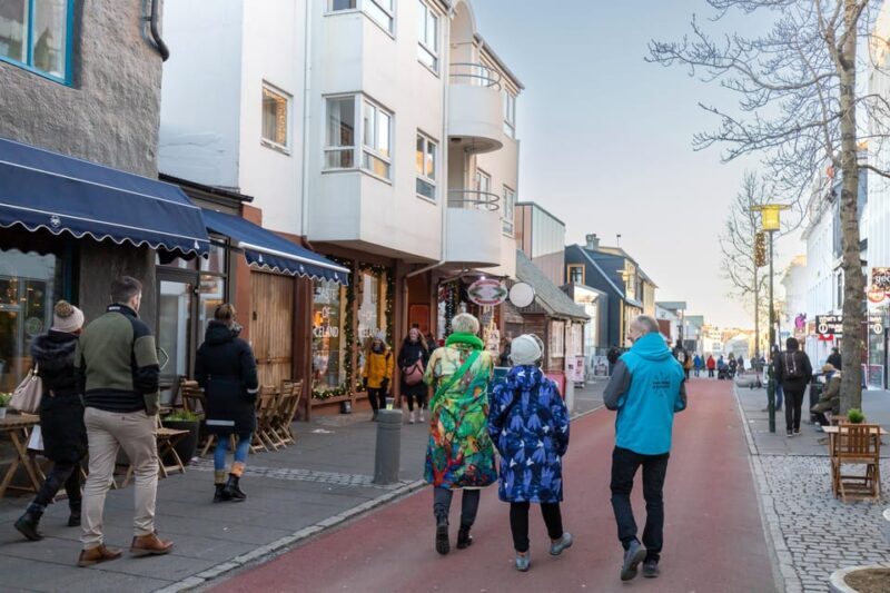 Reykjavik: Private Christmas Walking Tour - Introduction: A Festive Stroll Through Reykjavik’s Holiday Spirit