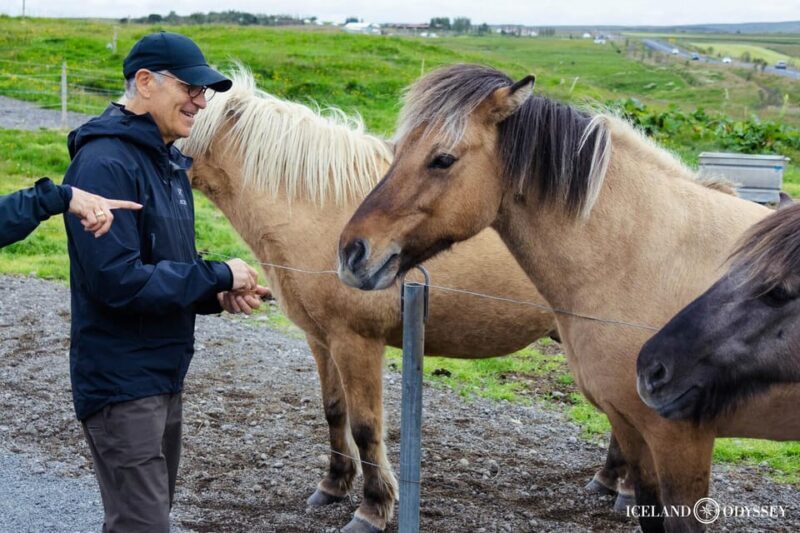Reykjavik: Private Golden Circle with Northern Lights - Final Words