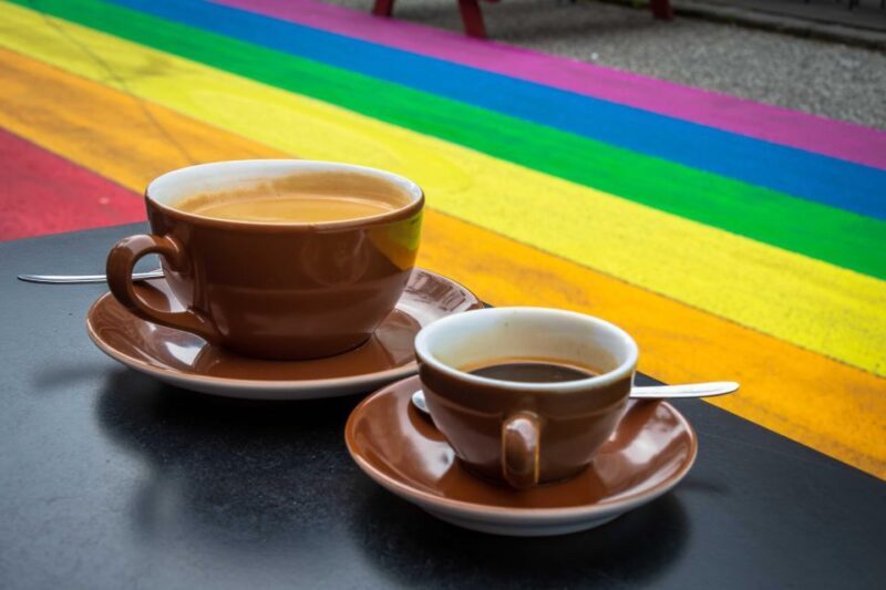 Reykjavík: Private LGBTQ+ Walking Tour with a Local Guide - FAQ