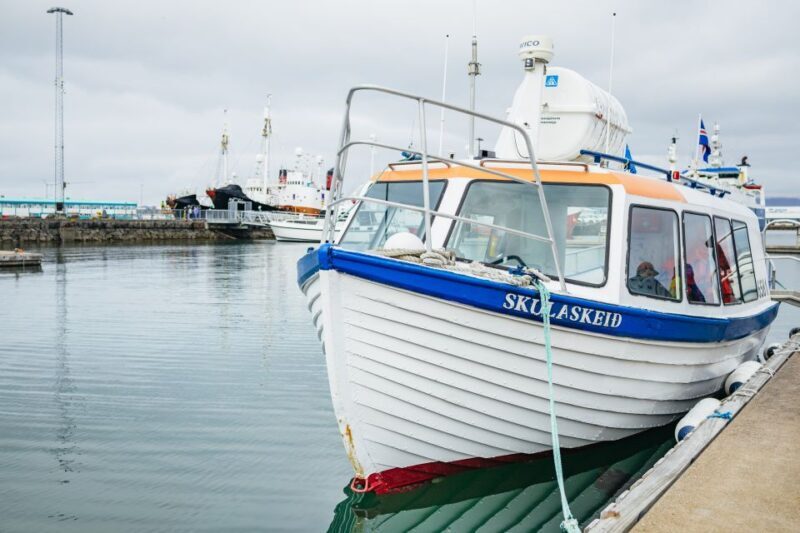 Reykjavik: Puffin Watching Boat Tour - Final Thoughts