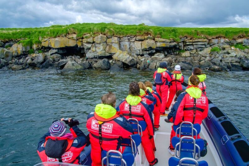 Reykjavik: Puffin Watching Tour - FAQs