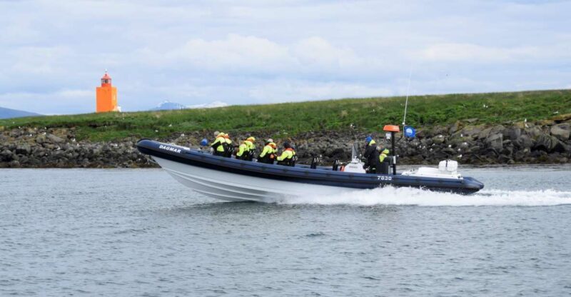 Reykjavik: Puffin Watching Tour by RIB Speedboat - What Makes This Tour Stand Out