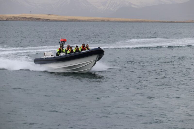 Reykjavik: Puffin Watching Tour by RIB Speedboat - FAQs
