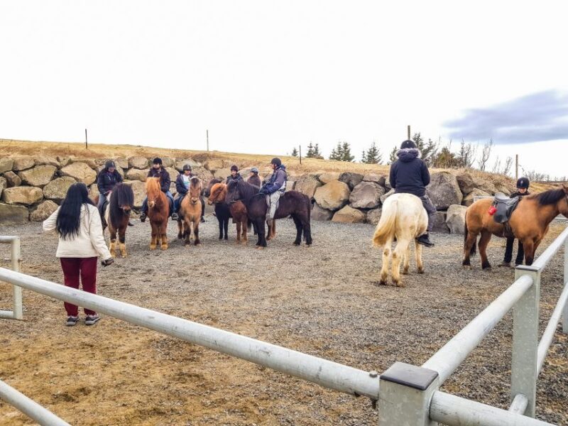 Reykjavik: Red Lava Horse Riding Tour - Weather, Clothing, and Practical Tips