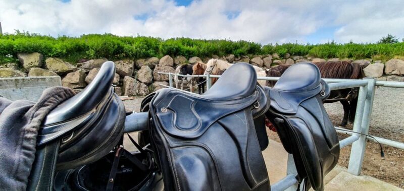 Reykjavik: Red Lava Horse Riding Tour - Practicalities and Additional Details